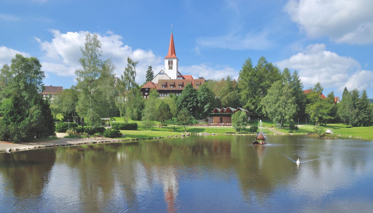 Tour della Foresta Nera: consigli di viaggio e info utili - Turista Fai ...