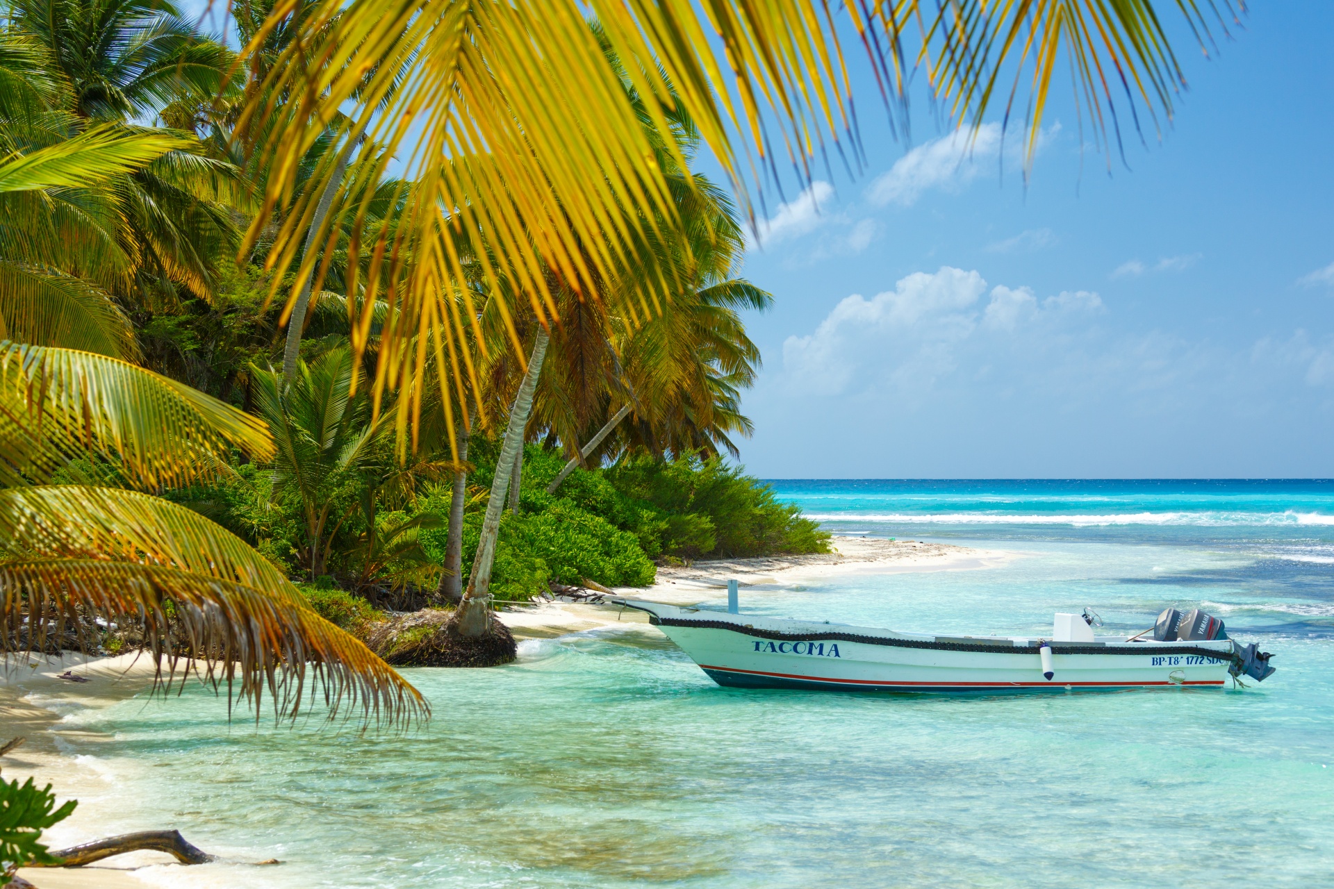 Caraibi: Guida Completa alle isole caraibiche per una vacanza da sogno