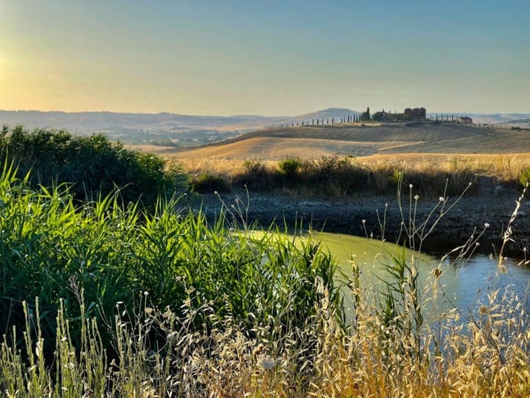 Guida alla Val d’Orcia: cosa vedere e cosa fare - Turista Fai Da Te